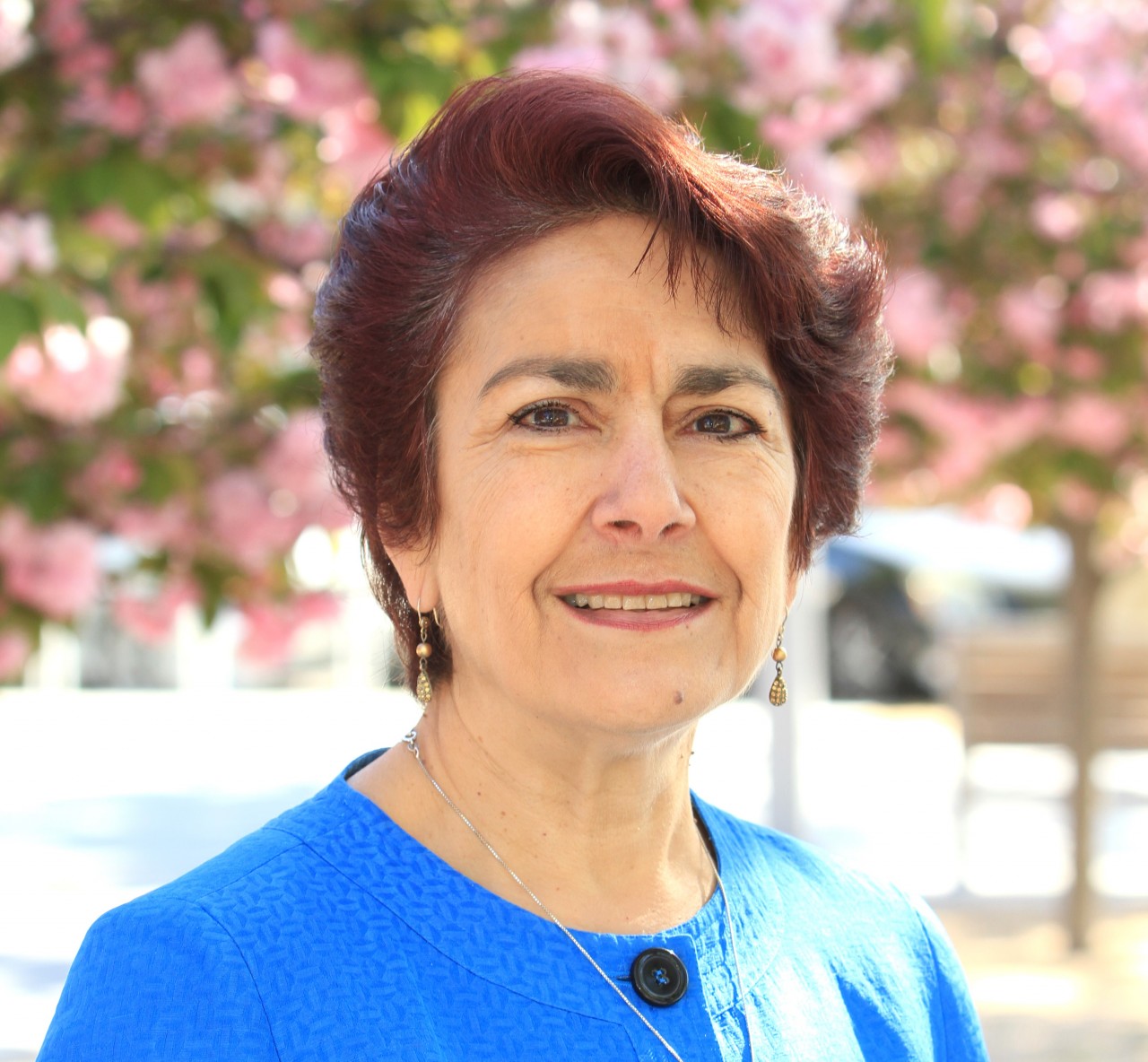 2018 Primary Election: 12th State Senate District | BenitoLink