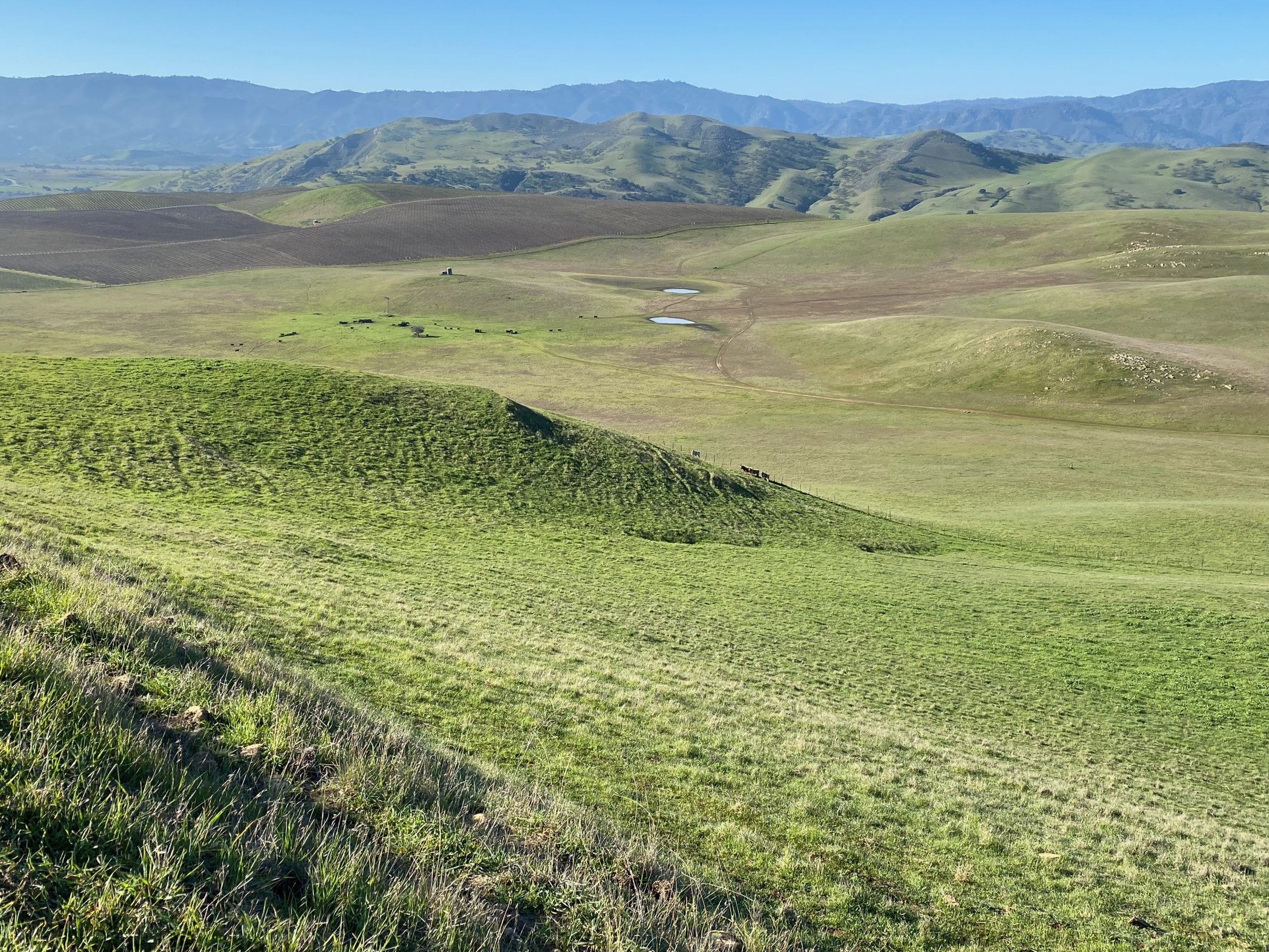 San Benito County Weed Management Area: 22nd Annual Seminar for ...