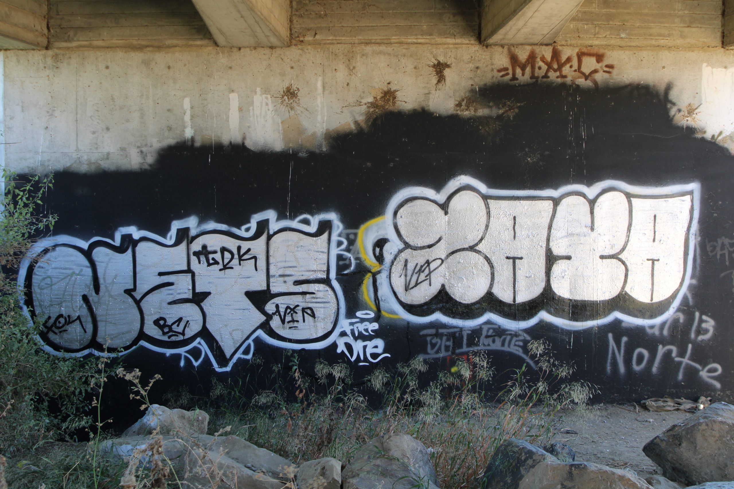 BL Special Report: Why do young people in San Benito County join gangs ...