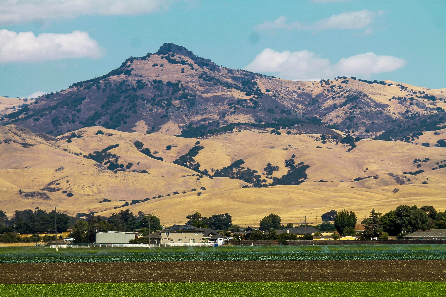 Who is Behind Measure A? | BenitoLink