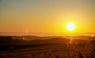 David Christianson | BenitoLink