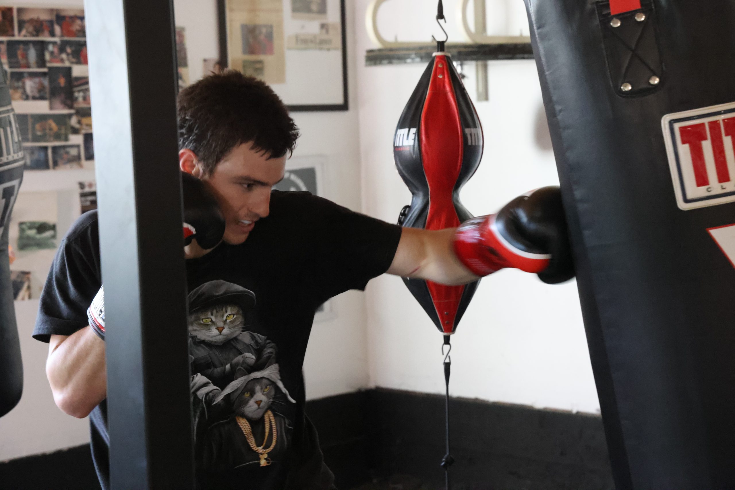 Bulldog Boxing hosts “Ignite the Ring” tournament on July 12 | BenitoLink